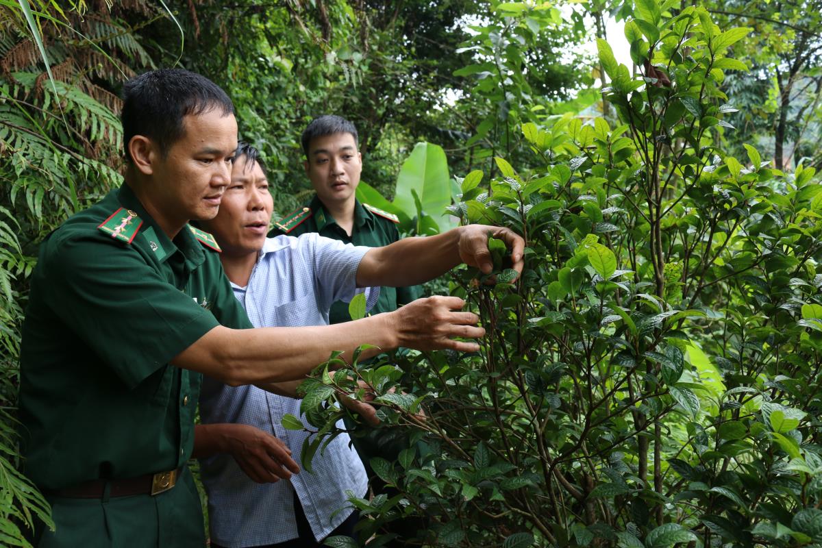 Tạo môi trường để cán bộ dám hành động vì lợi ích chung